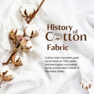 How Is Cotton Produced? A Step-by-Step Guide to Softest Fabric