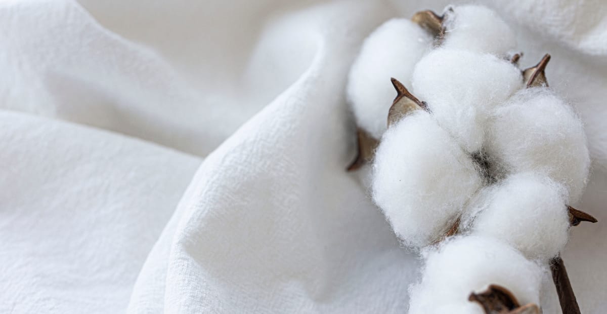 Carded Cotton: Raw Texture, Real Comfort, Timeless Style