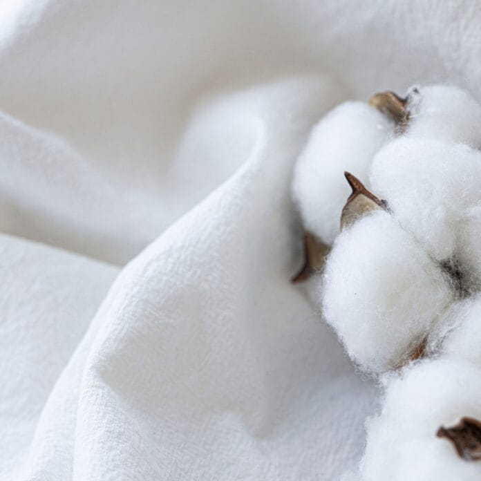 8 Common Cotton Fabric Types and How to Use Them Perfectly
