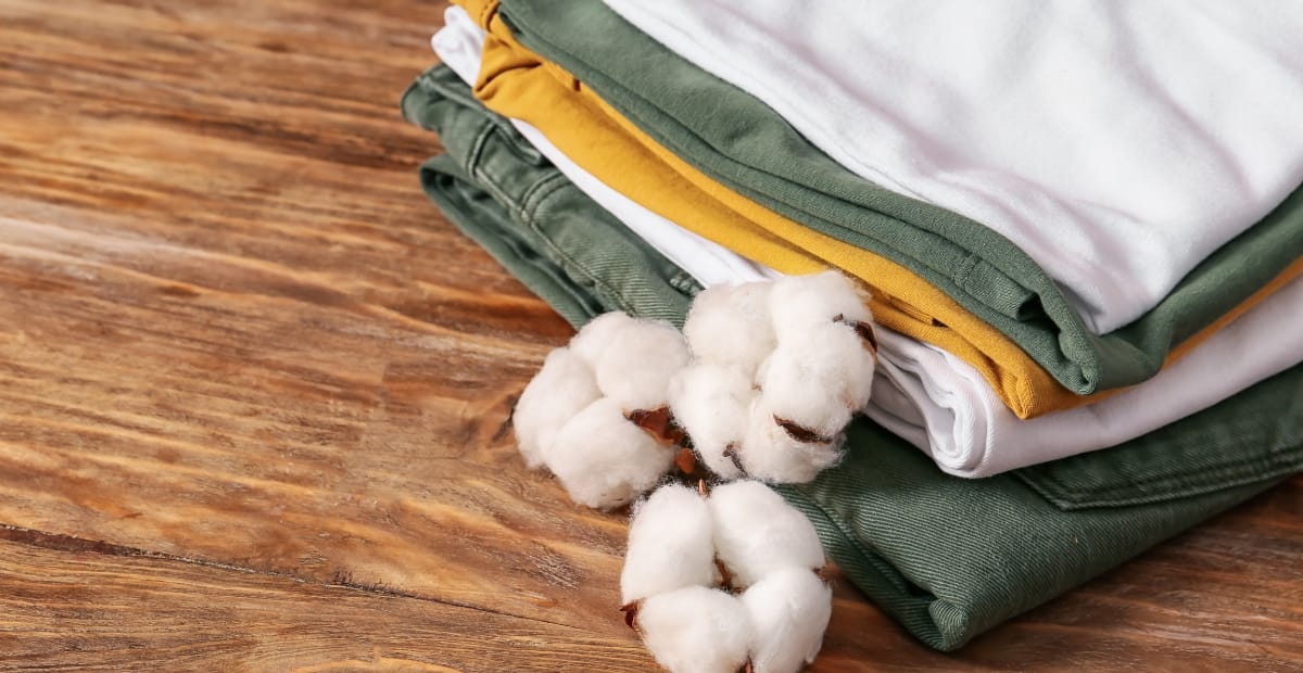 Cotton Clothes That Blend Comfort and Sustainability Perfectly